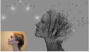 Photo Editing Courses Vs Image Manipulation Courses